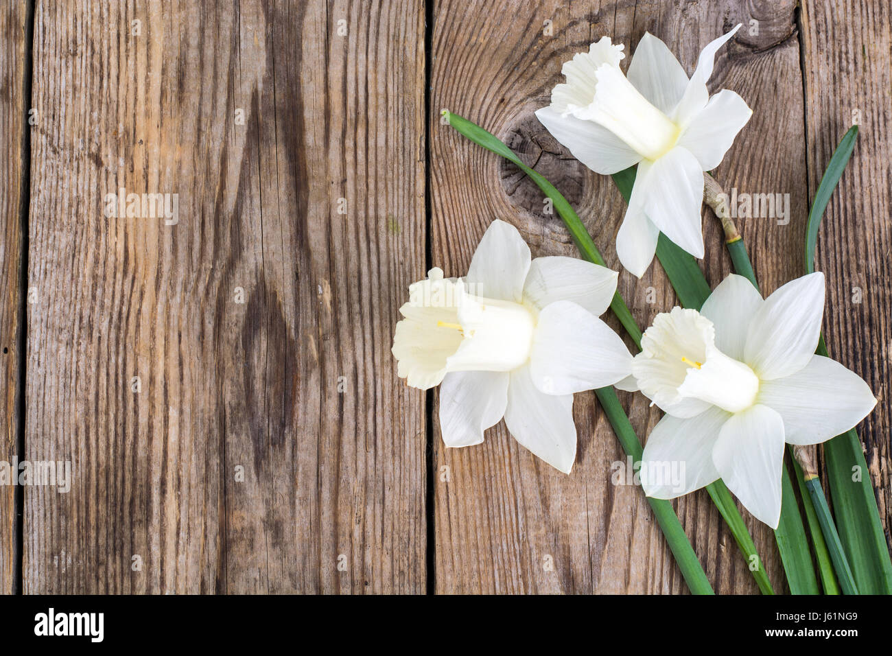 Bouquet of daffodils on wooden background. Studio Photo Stock Photo - Alamy