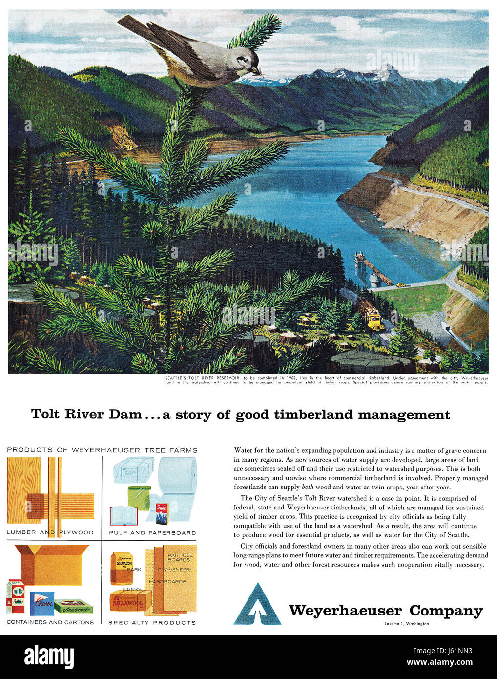 1960 U.S. advertisement for the Weyerhaeuser Company, featuring Seattle ...