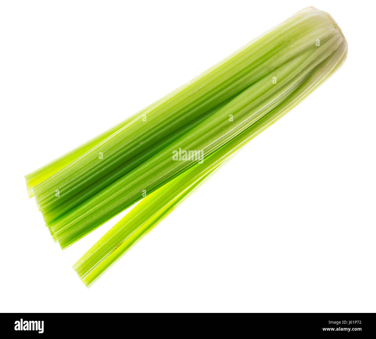 Bunch of stalks of celery. Studio Photo Stock Photo - Alamy