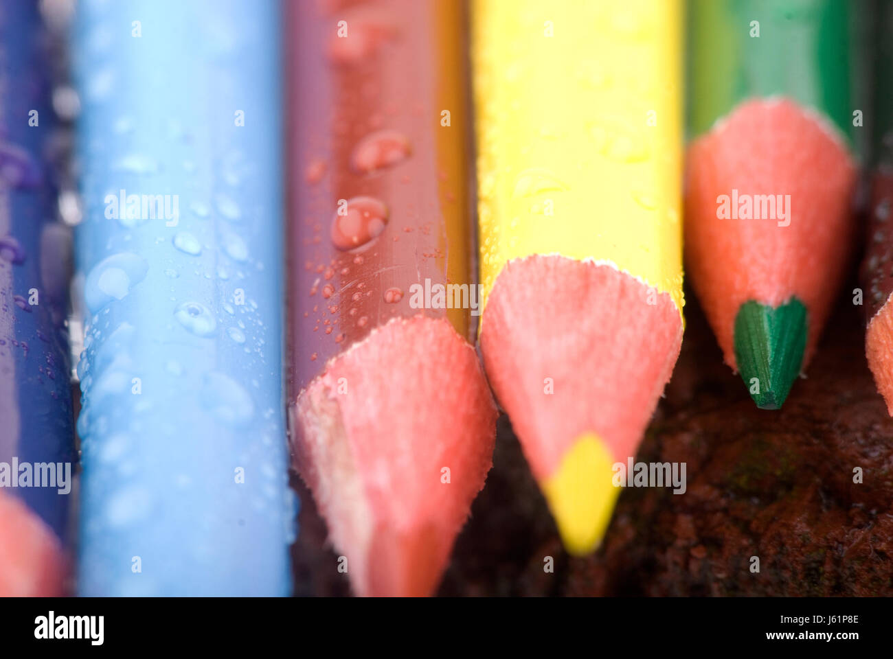 art colour coloured colourful gorgeous multifarious richly coloured ...