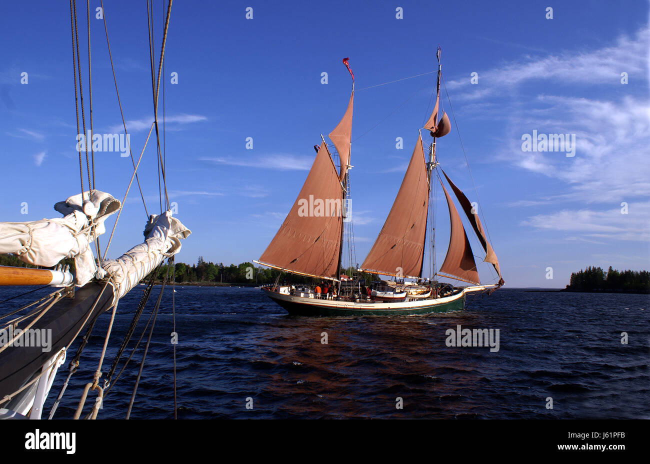 seafaring sail usa yachtsman salt water sea ocean water old-timer ...