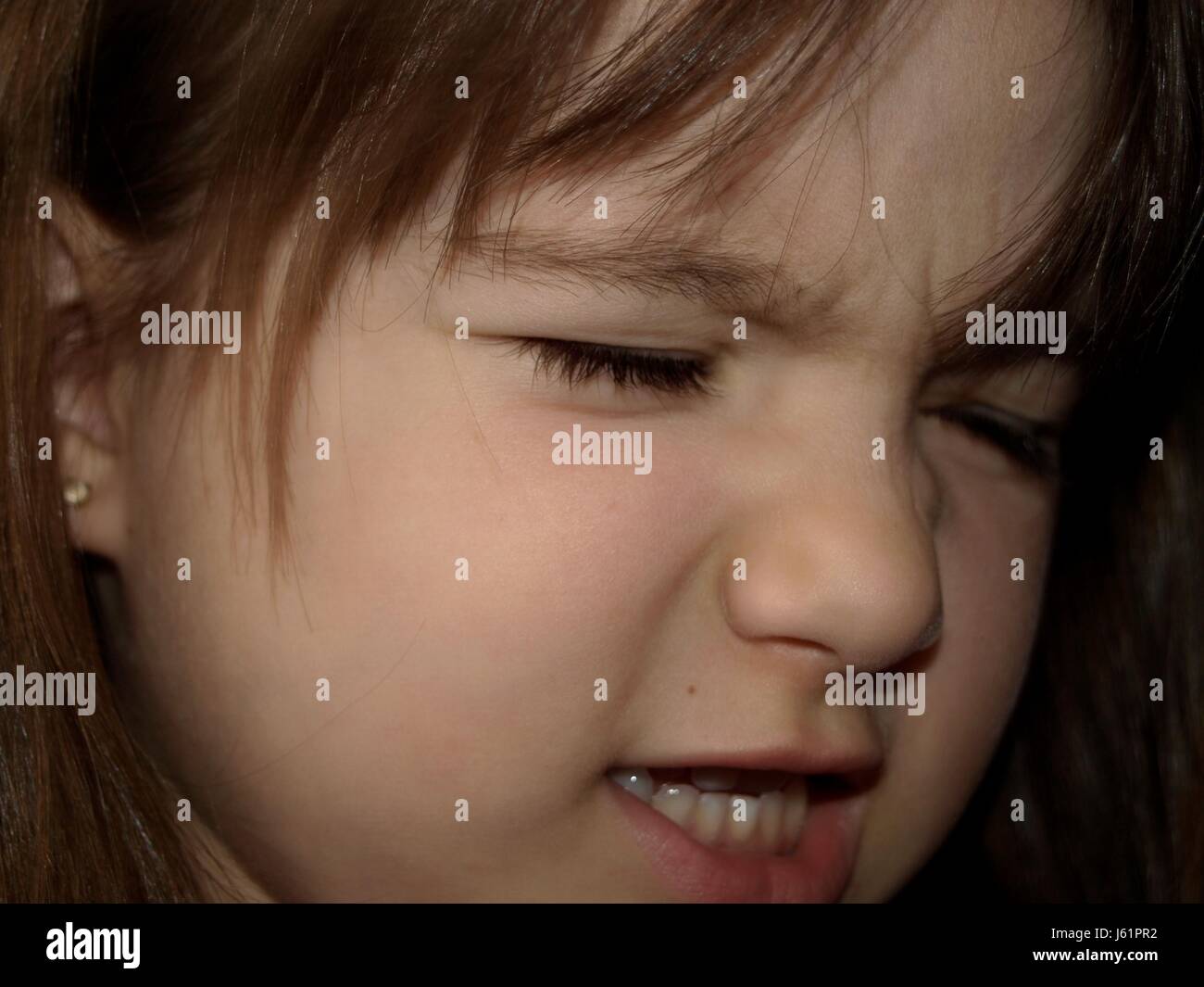 Not obstinate hi-res stock photography and images - Alamy