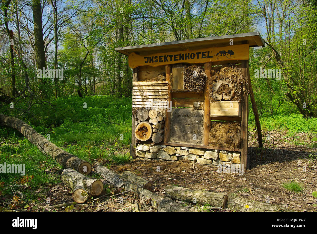 insect wood meadow forest house building animal insect wood ...