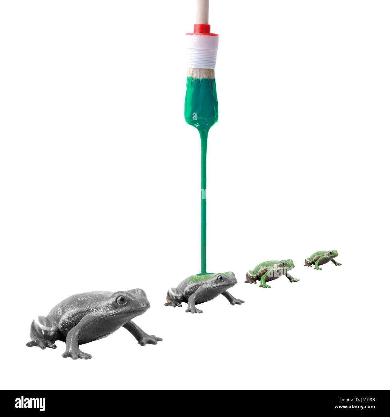 colour green frog paint frogs colors colours paintbrush brush macro ...