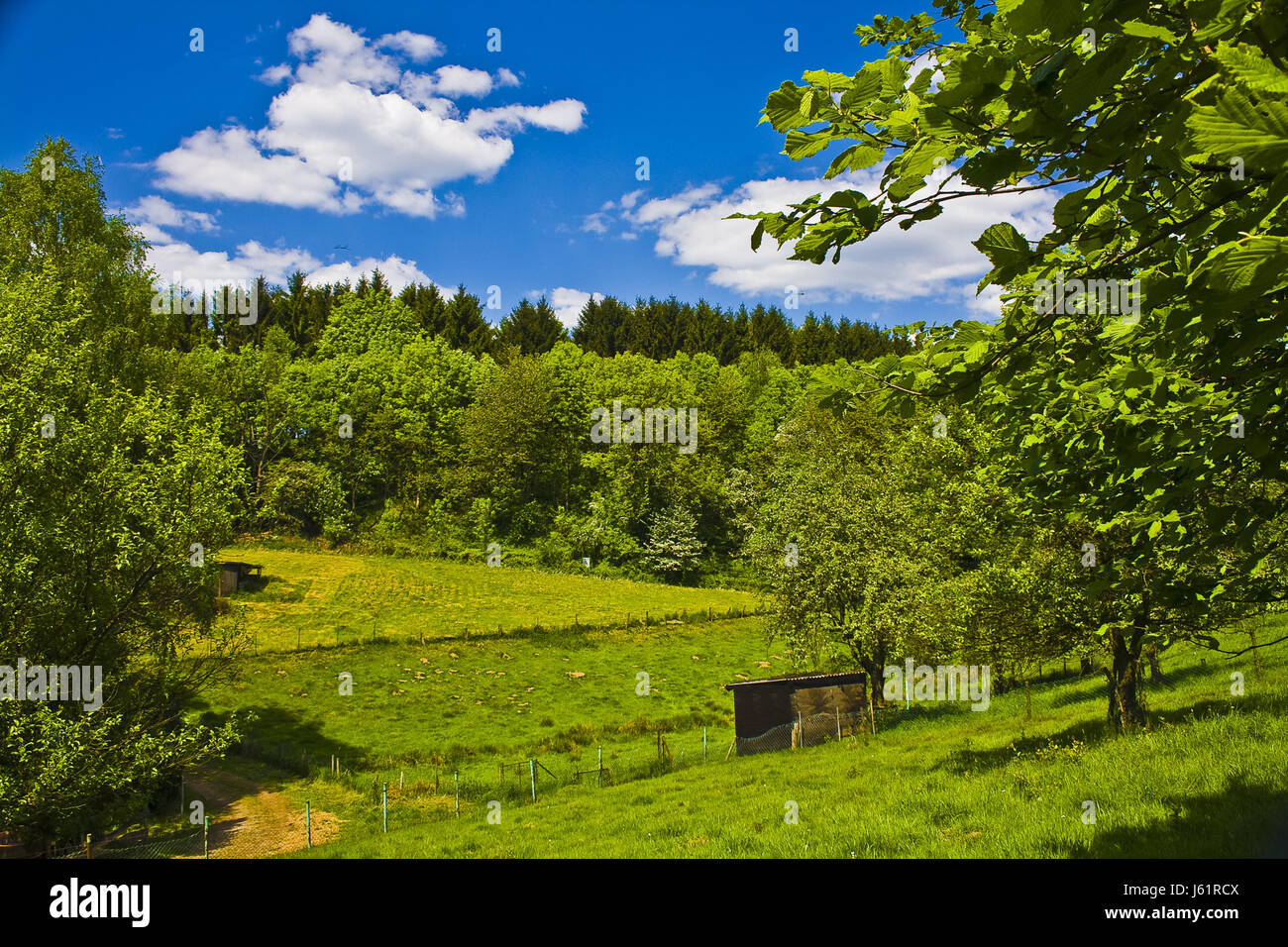 valley stable meadow mountain scenery countryside nature stall lodge ...