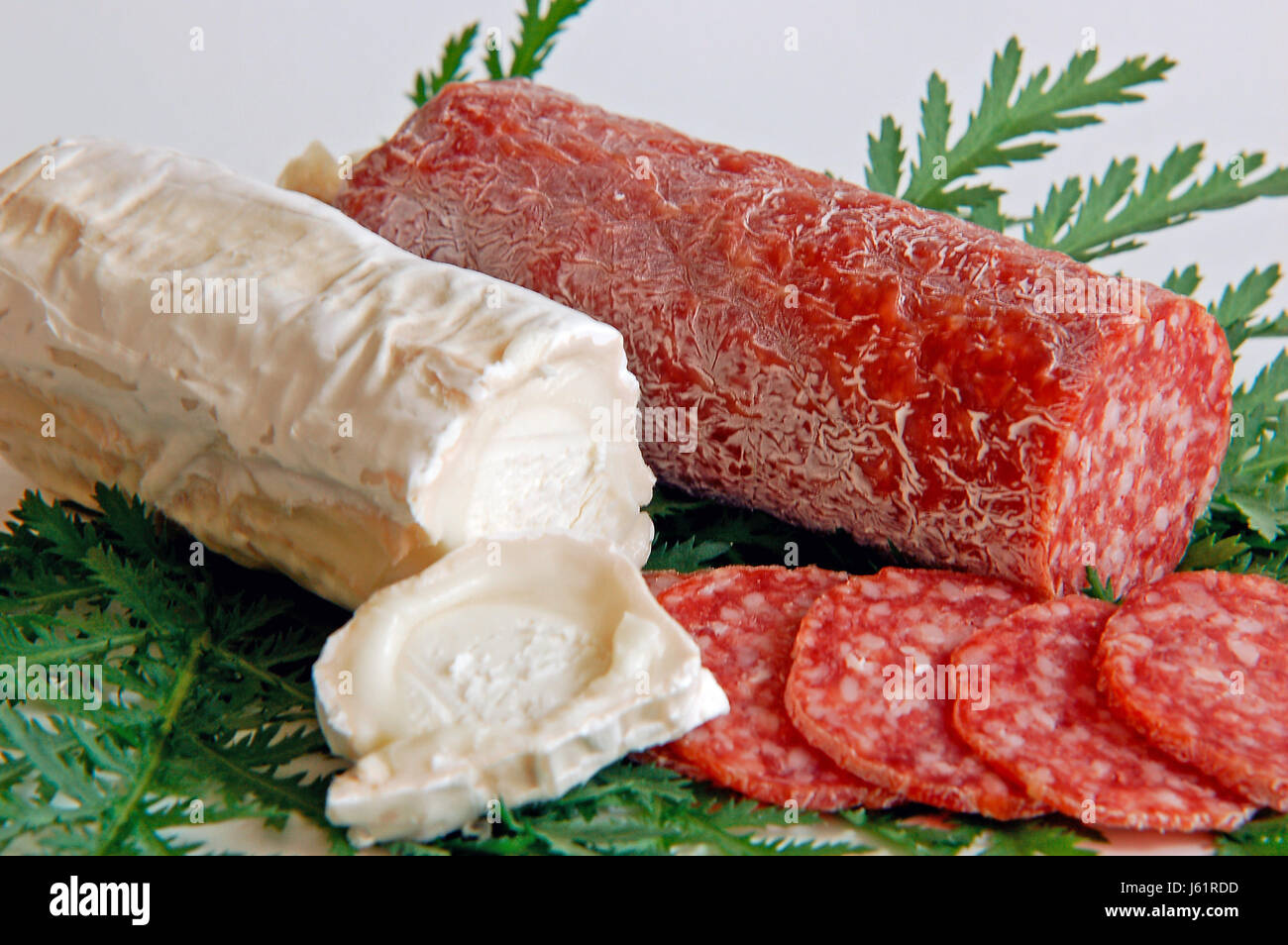 disc cheese discs salami goat stucco piece section segment part area ...