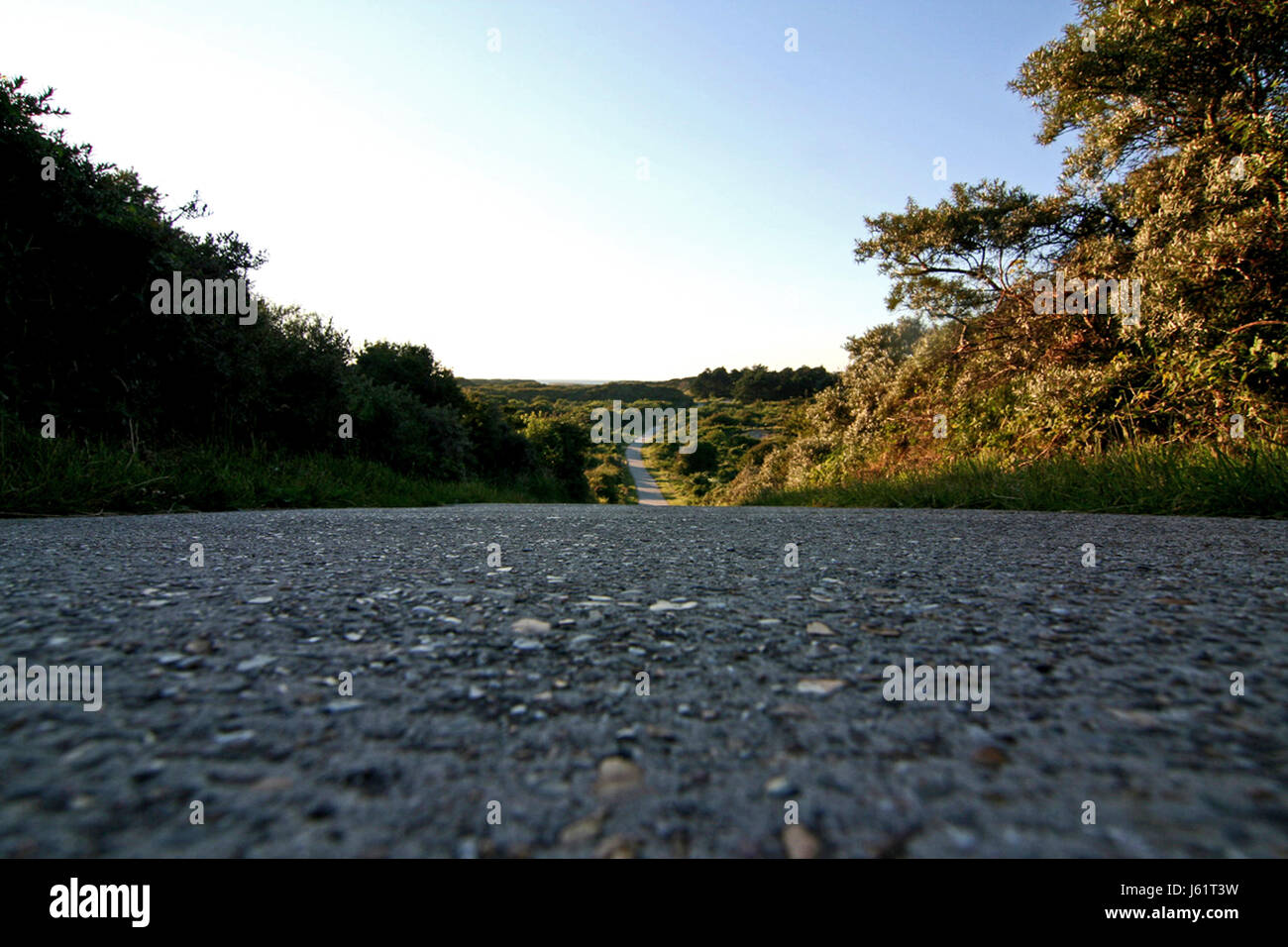 asphalt route downhill path way upwards hill bush dune rise climb ...