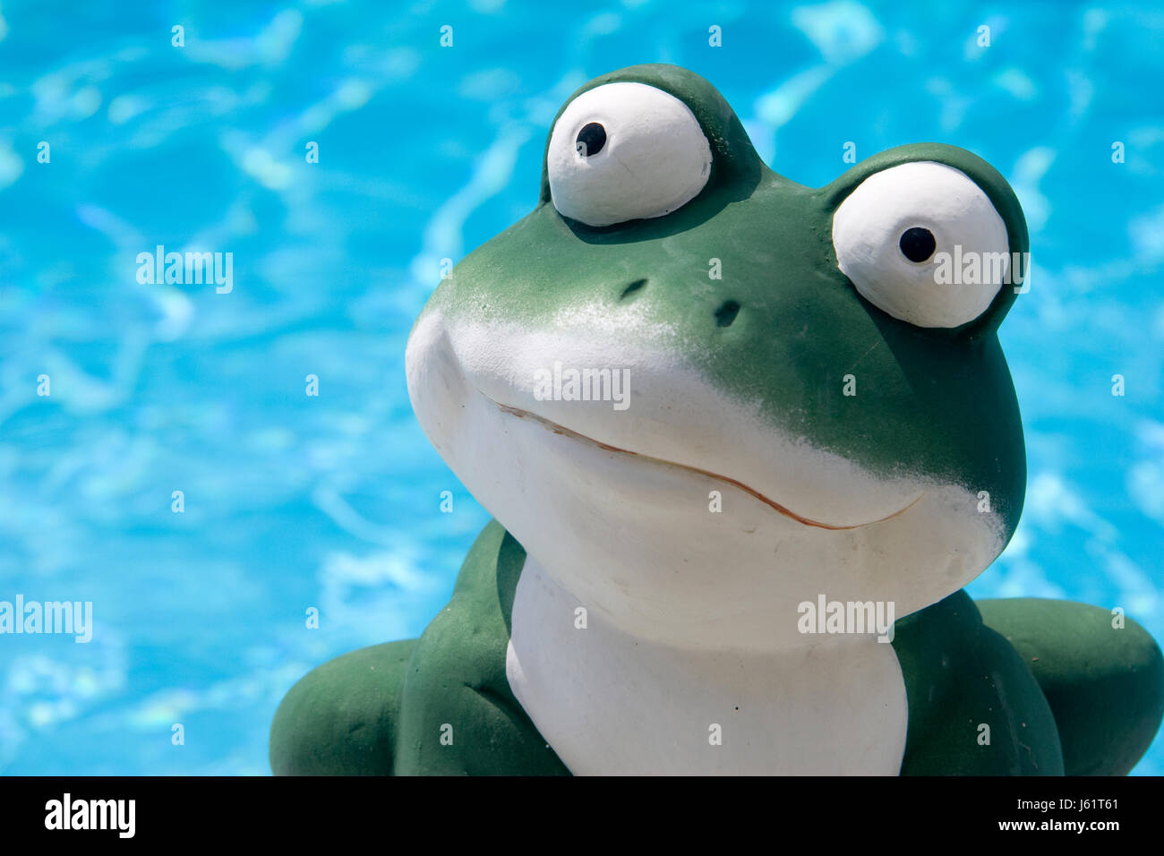 blue summer summerly frog pool pelvis basin blue graphic summer ...