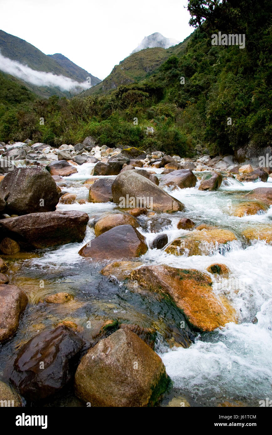 Yungas bolivia national park hi-res stock photography and images - Alamy