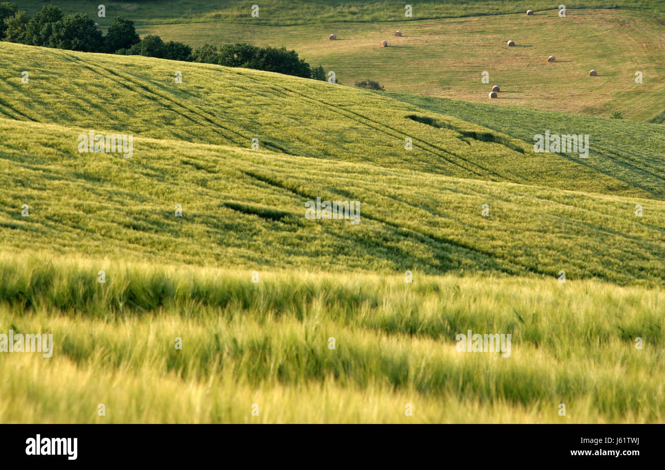straw ball straw summer meadow mow harvest fodder hill agriculture ...