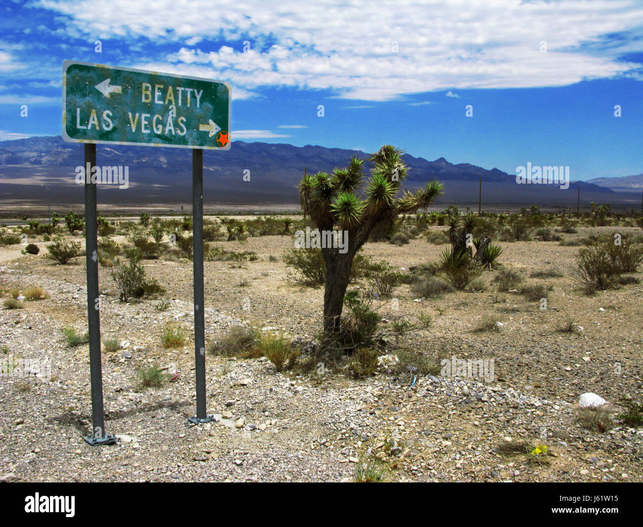 usa america nevada traffic signs path way read vegas drive travel tree ...