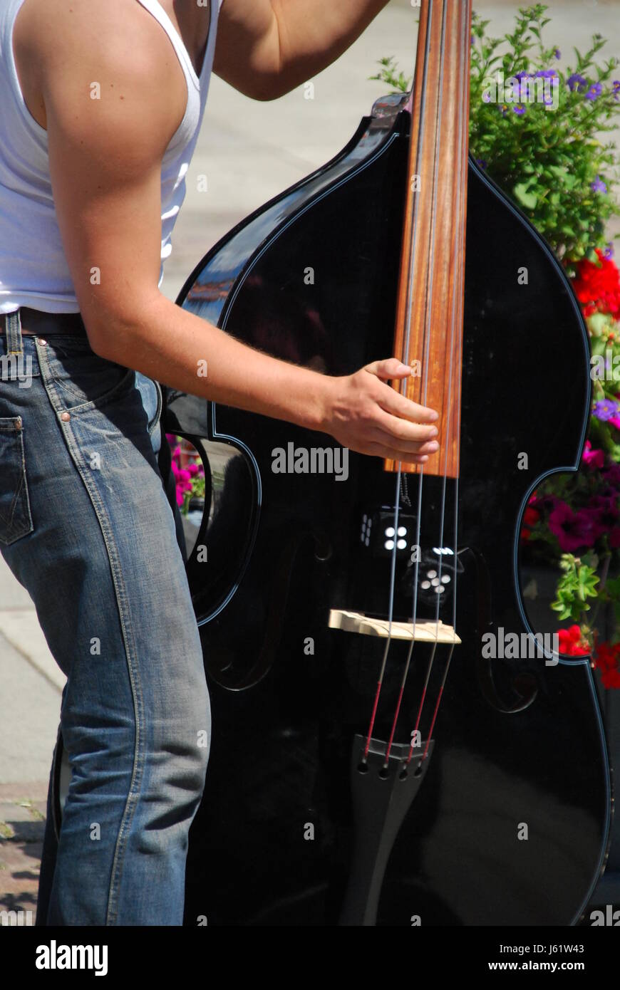 Contrabass hi-res stock photography and images - Alamy