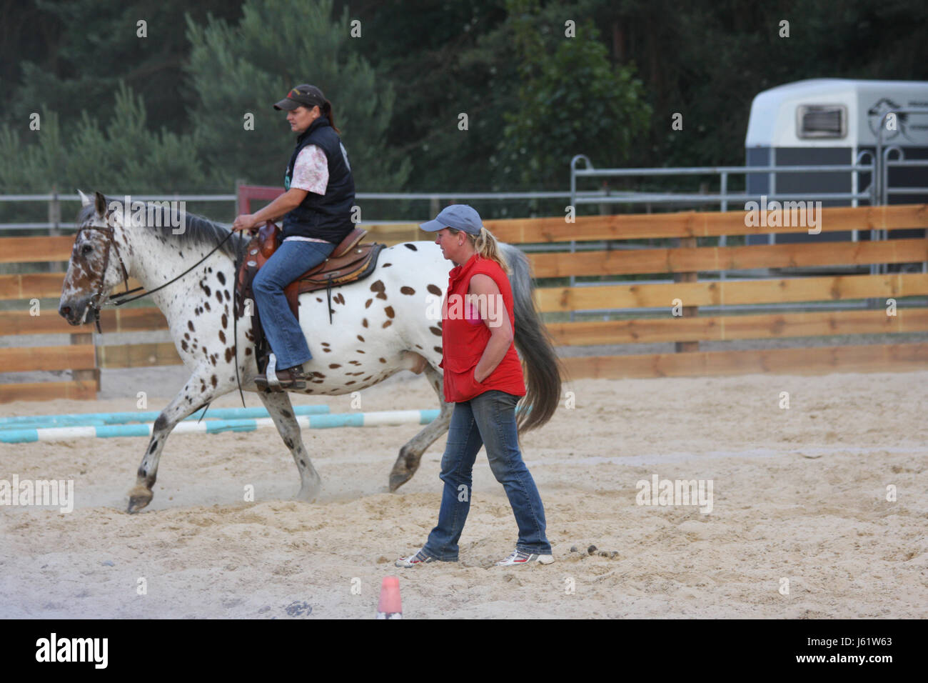 horse rider equestrian ranch woman humans human beings people folk ...