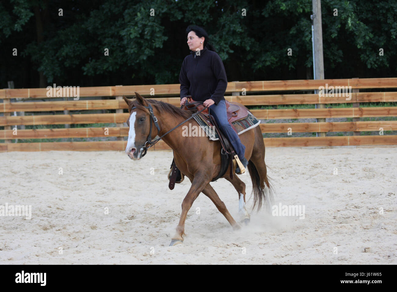 horse rider equestrian ranch woman humans human beings people folk ...