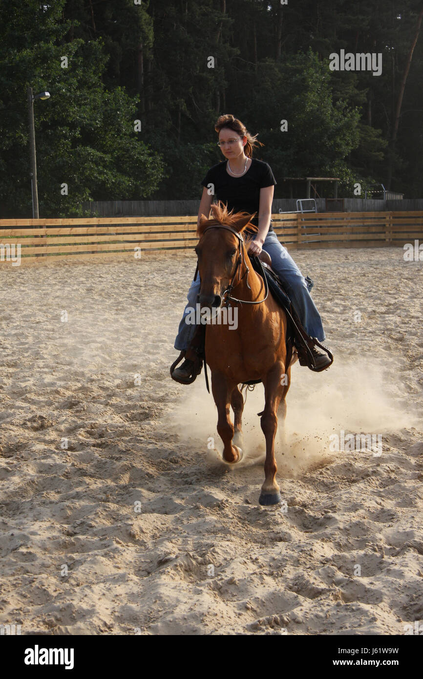 ride horse rider equestrian mane ranch horseriding woman humans human ...