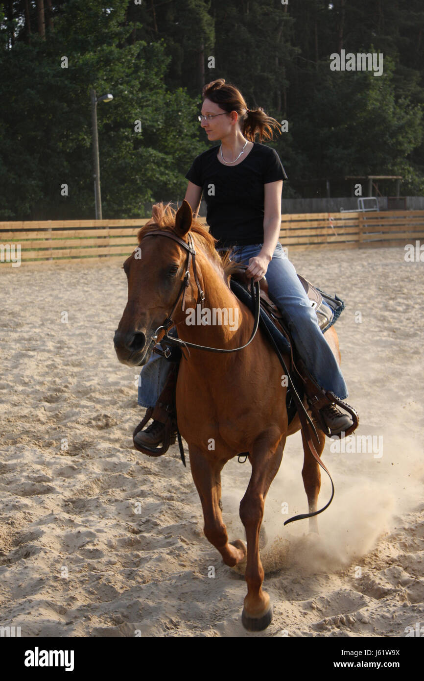 ride horse rider equestrian mane ranch horseriding woman humans human ...