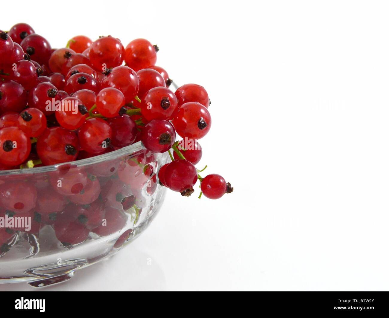 Ribisel hi-res stock photography and images - Alamy