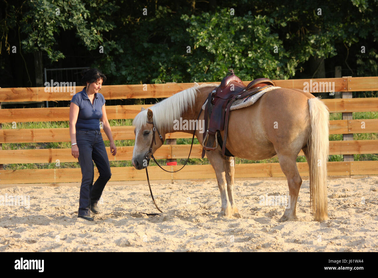 ride horse rider equestrian mane ranch horseriding woman humans human ...