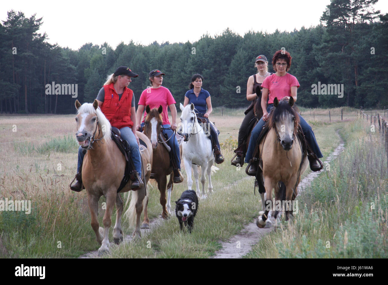 ride horse rider equestrian mane ranch horseriding woman humans human ...