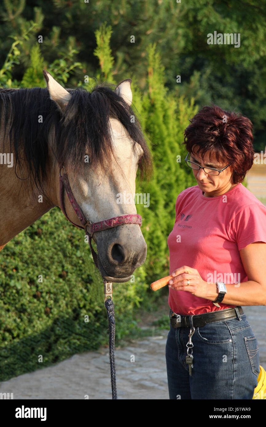 ride horse rider equestrian mane ranch horseriding woman humans human ...