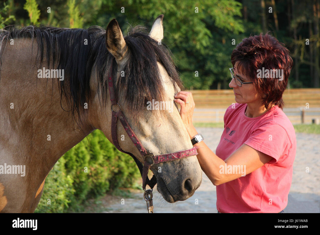 ride horse rider equestrian mane ranch horseriding woman humans human ...