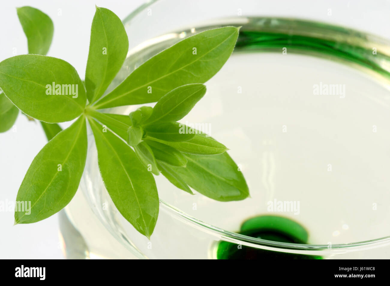 woodruff fruit cup drink spice cold alcohol flavour aromatic beverage ...