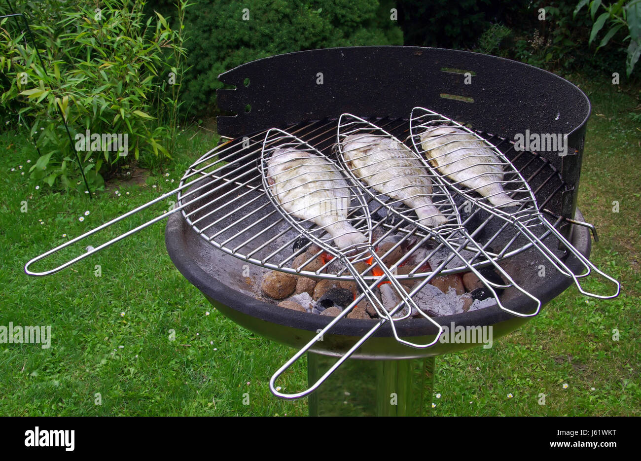 fish grill barbecue barbeque grilled food aliment fish prepare rust ...