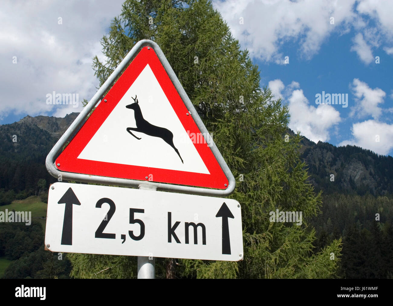 sign signal animal traffic transportation deer advice road street ...