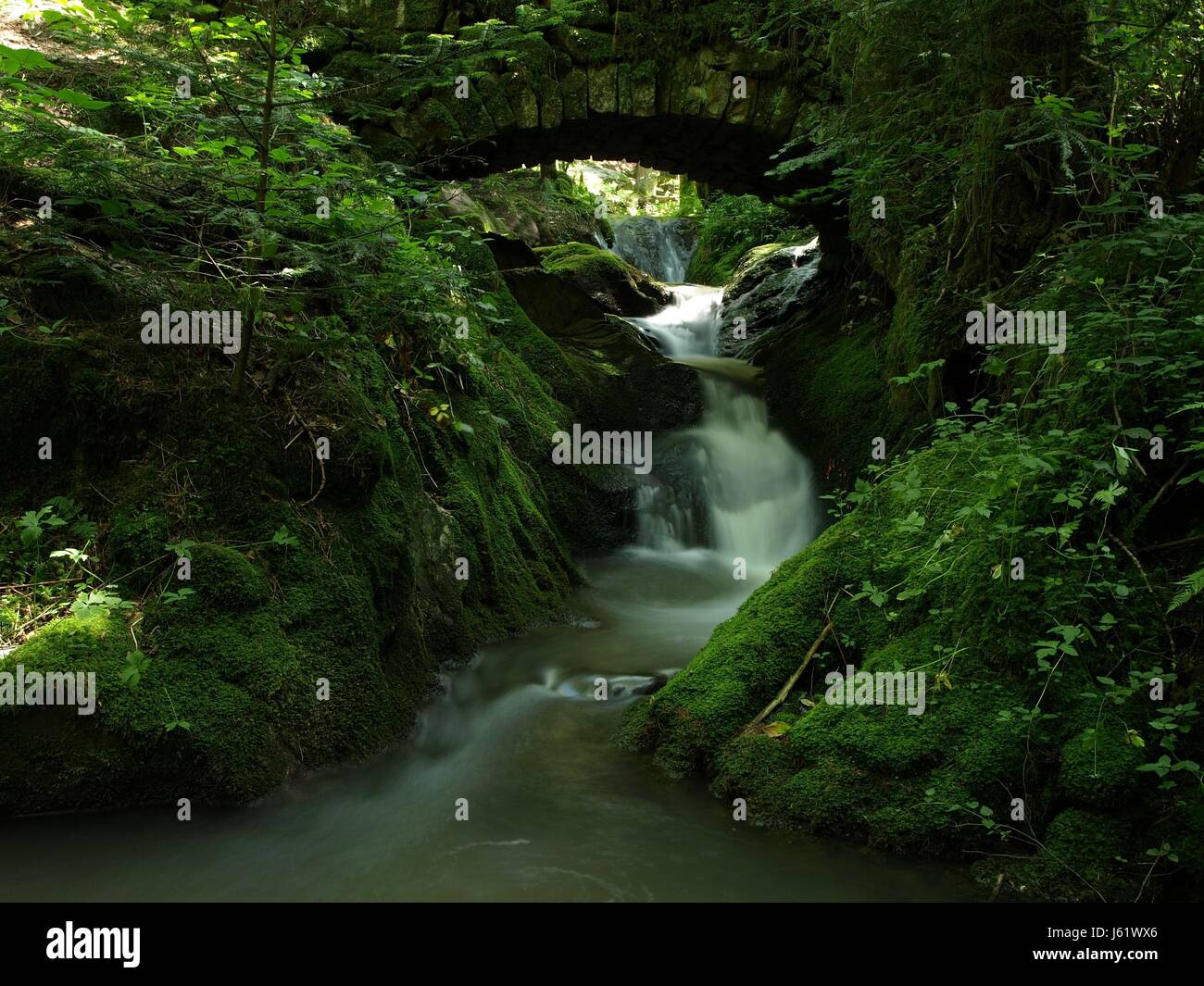 green long-term exposure stream waterfall black forest water green ...