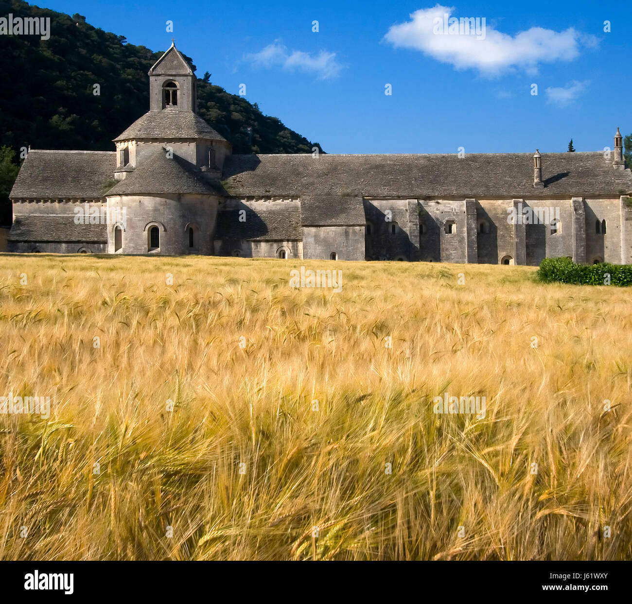 monastery abbey corn field church Provence convent grain cereal france ...