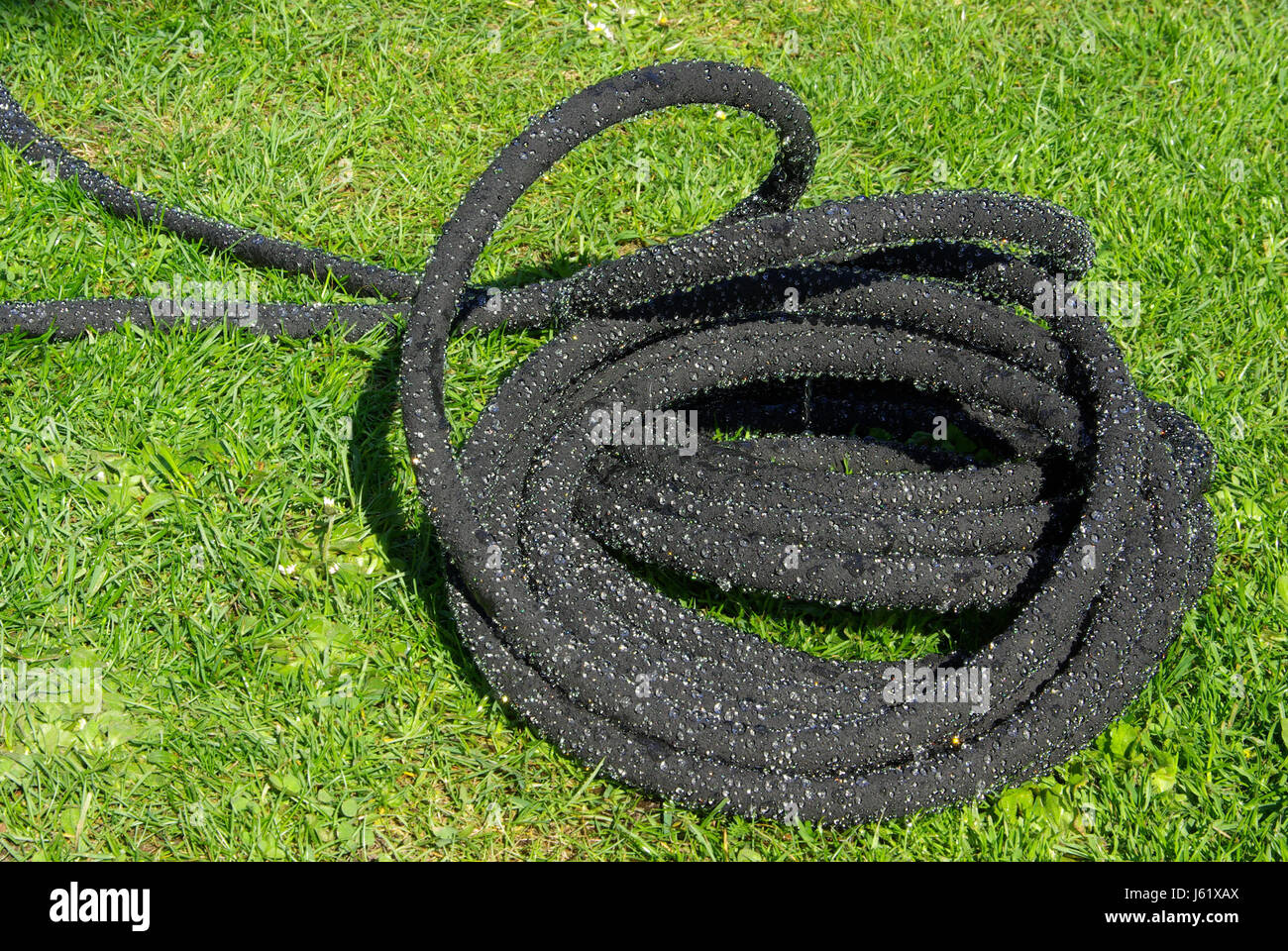 garden wet hose gardens watering irrigation water drop drip drops ...