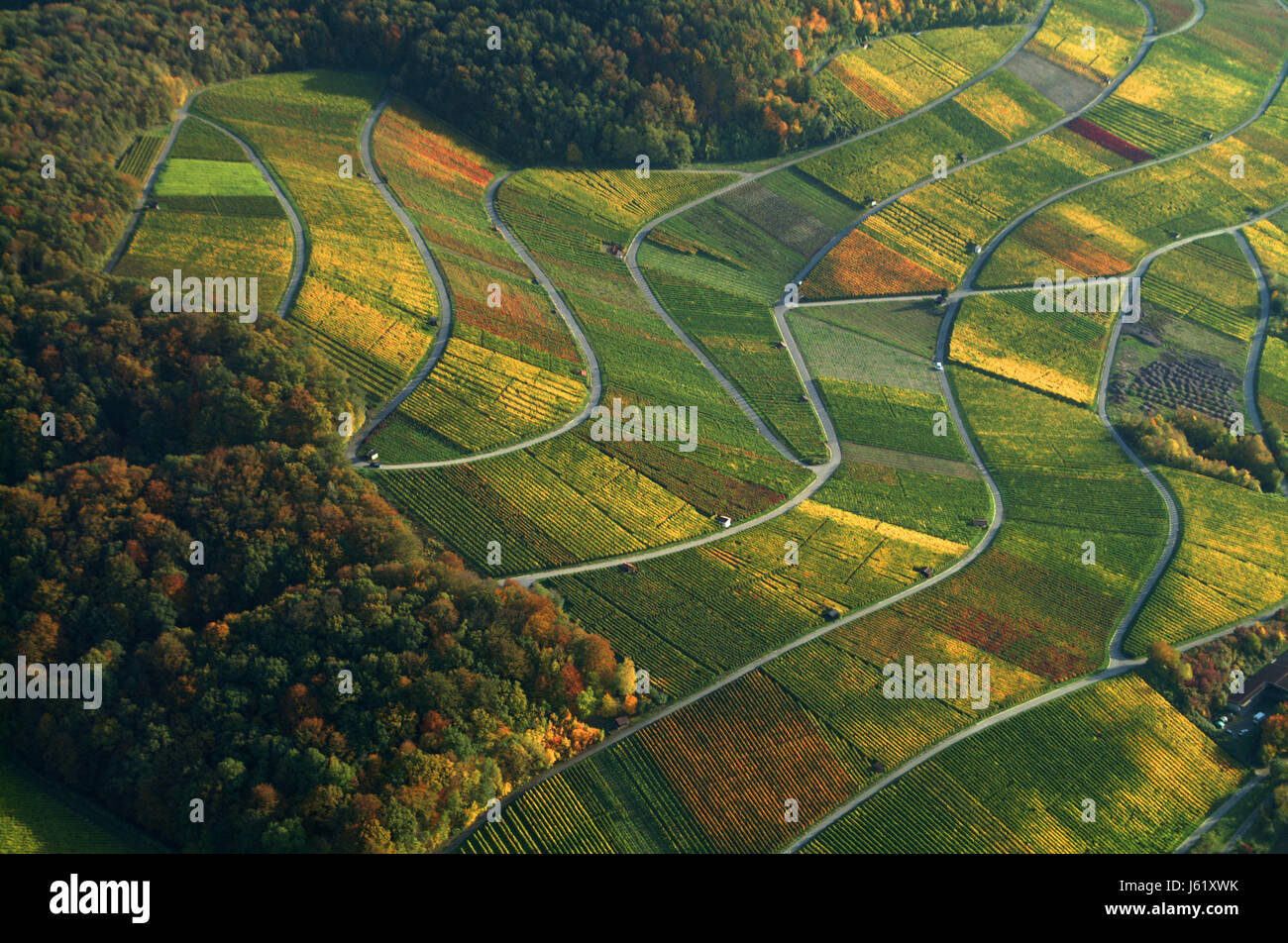 vineyard,viticulture landscape,vineyard landscape Stock Photo - Alamy