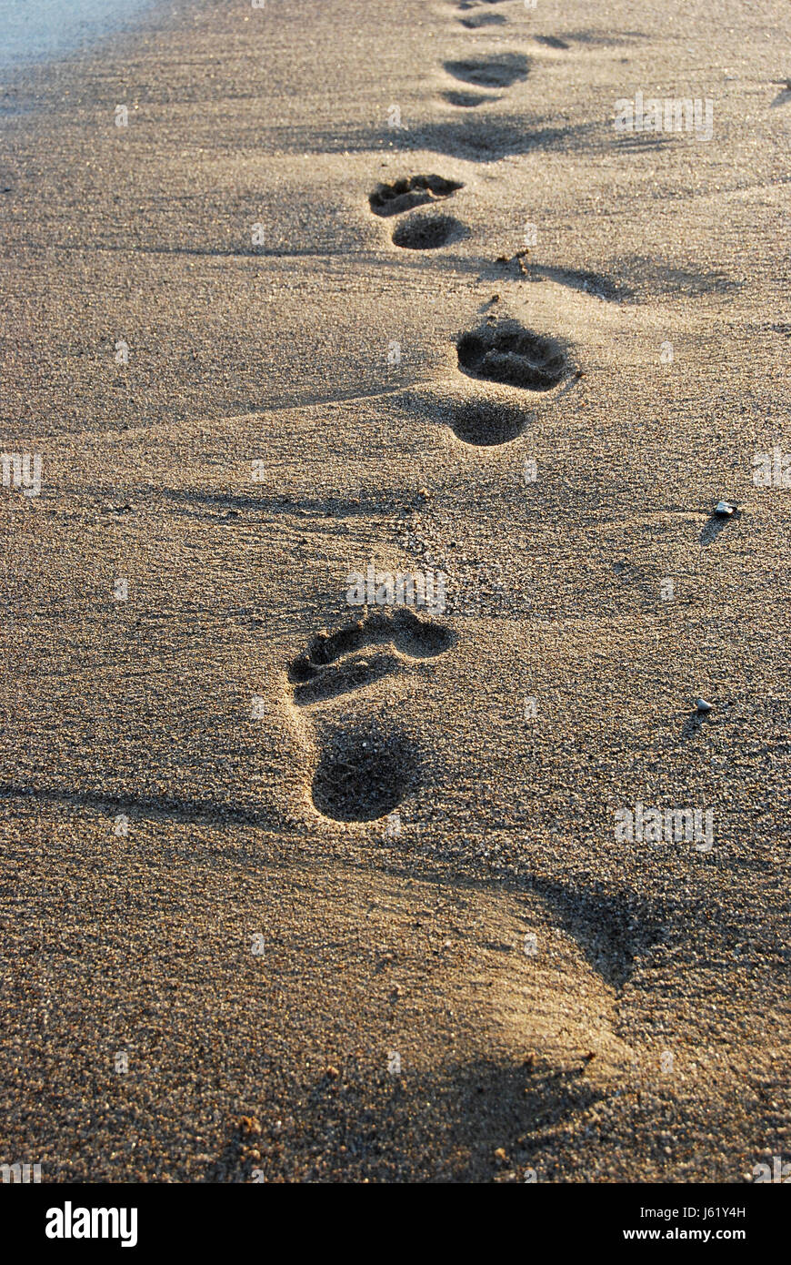 foot track 1 Stock Photo - Alamy