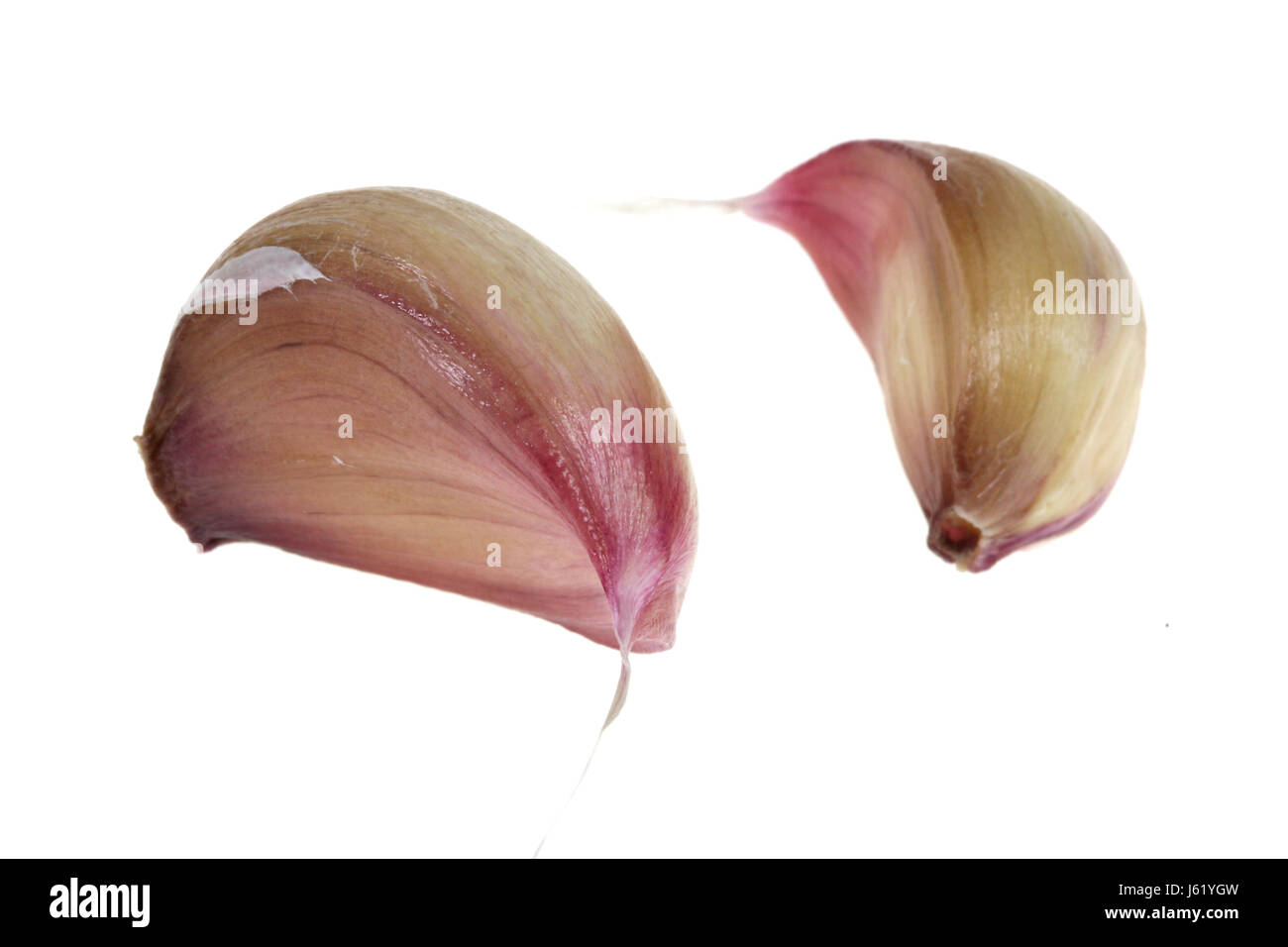 Garlic toes hi-res stock photography and images - Alamy