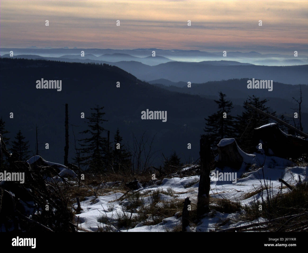 sight view outlook perspective vista panorama lookout black forest tree ...