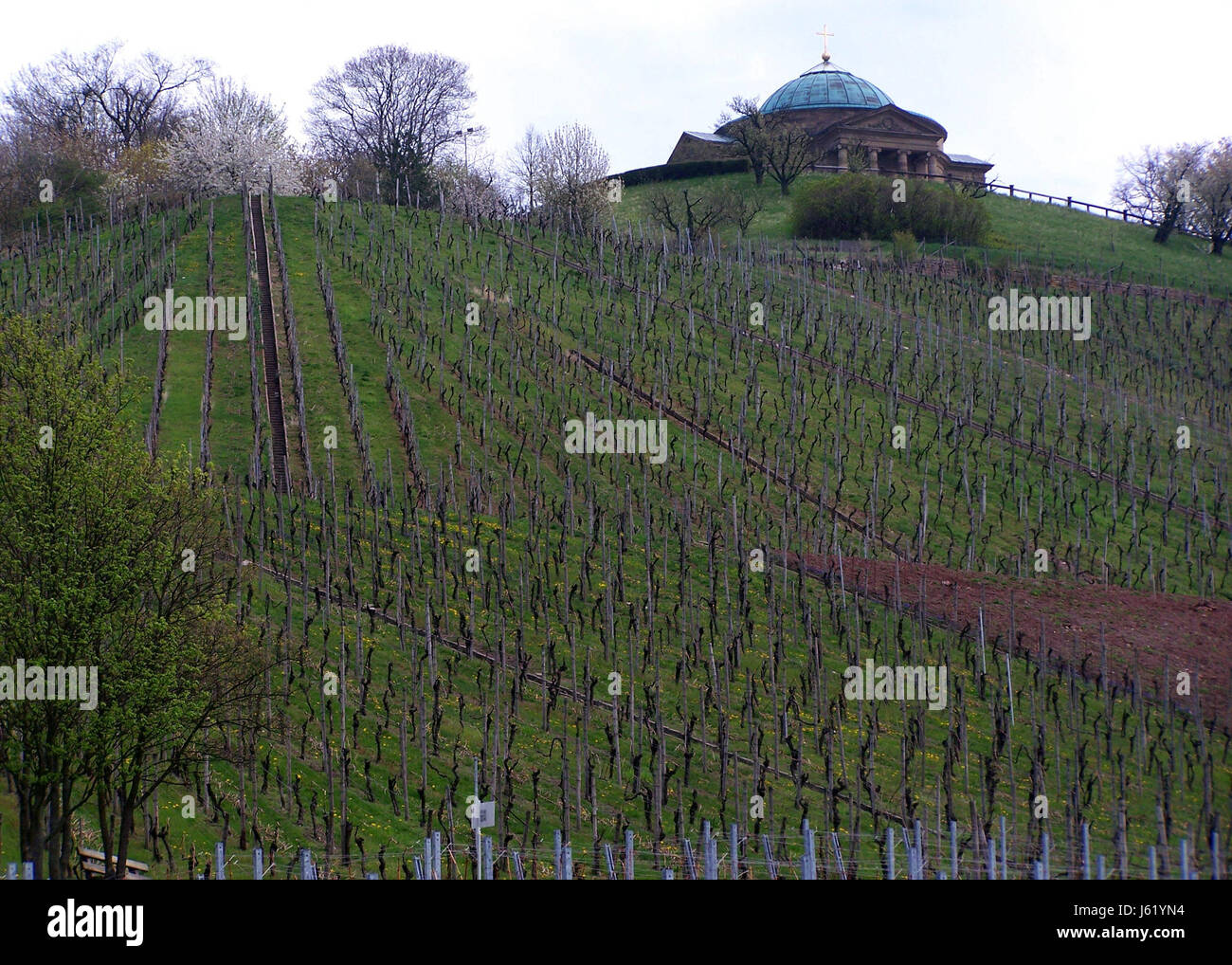 chapel vineyard viticulture vine grape vine grape-vine temple romantic ...
