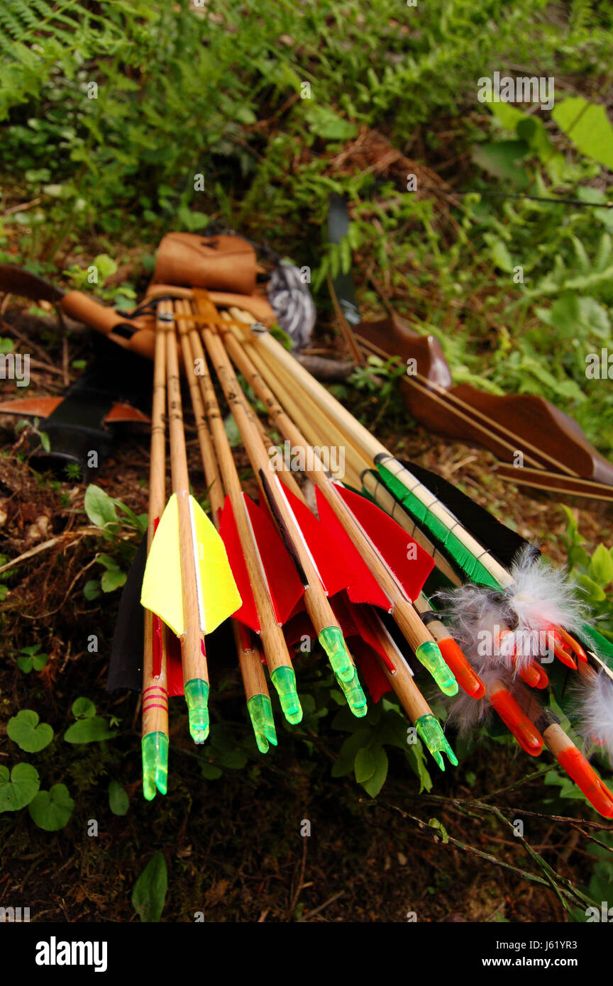 Shot arrow while hunting hi-res stock photography and images - Alamy