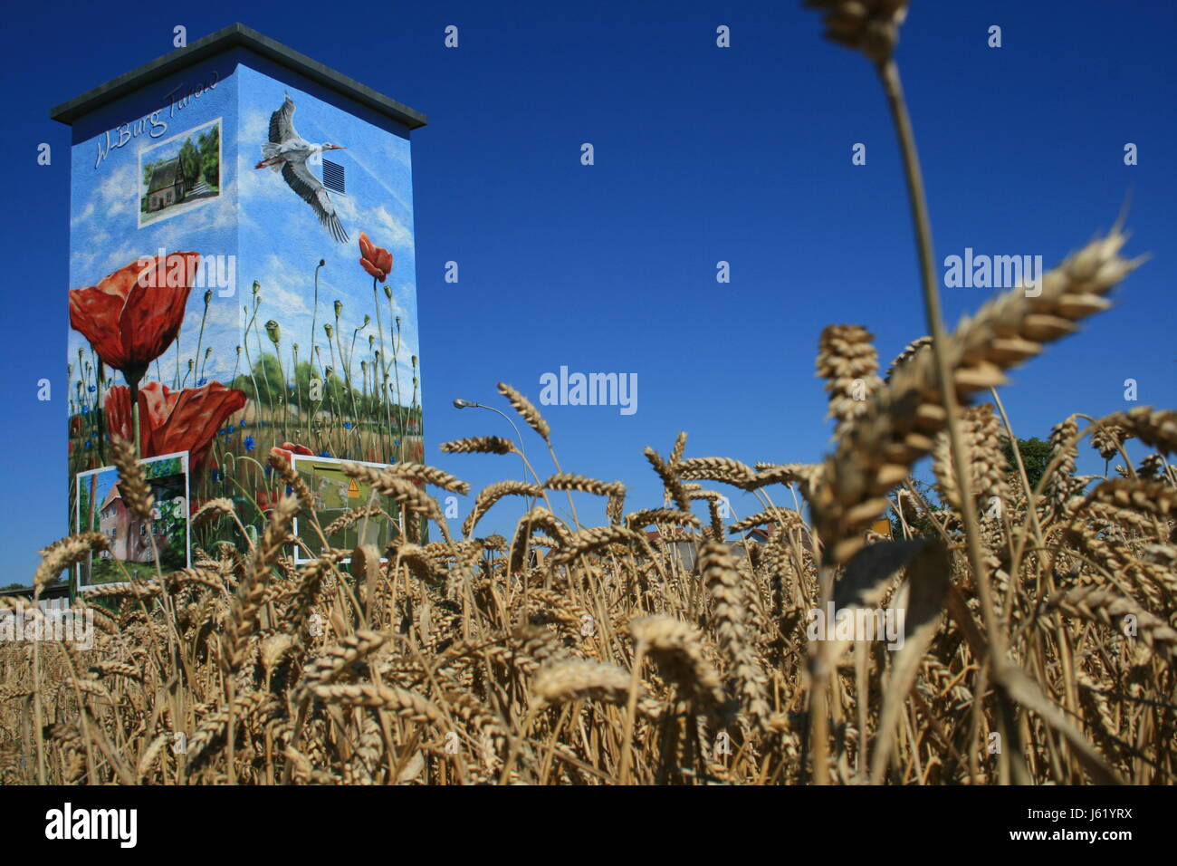 art grain wheat paint scenery countryside nature cornflower art grain ...