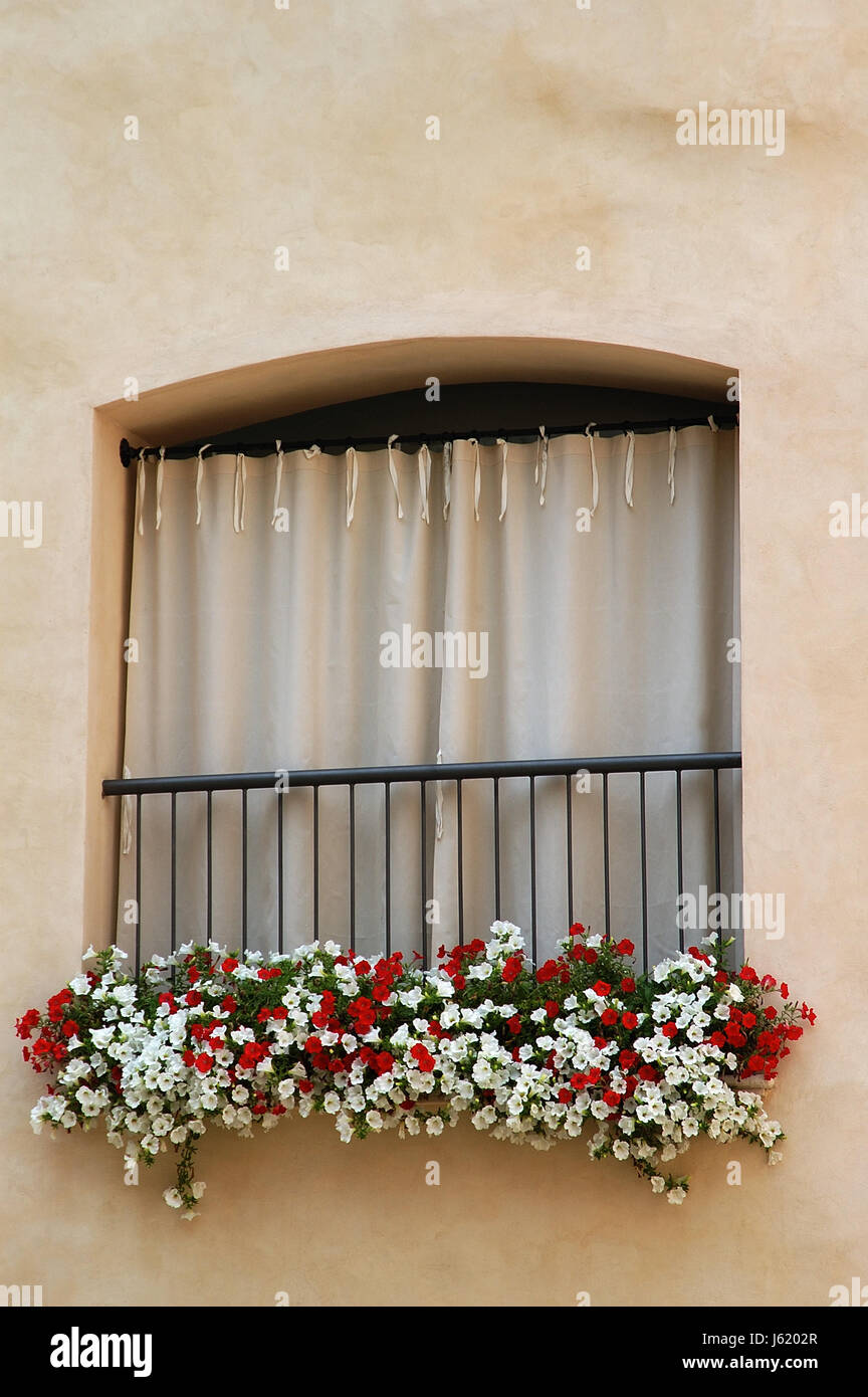 window porthole dormer window pane flower flowers plant curtain house ...