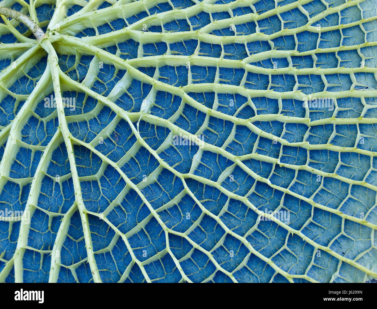 Victoria 01 hi-res stock photography and images - Alamy