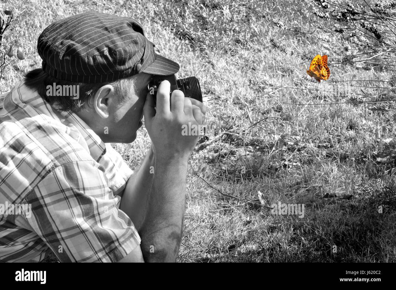 park garden insect photo camera photography picture image copy ...