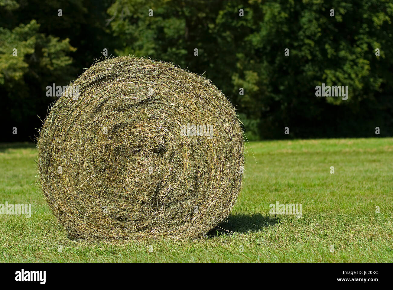 a round thing Stock Photo - Alamy