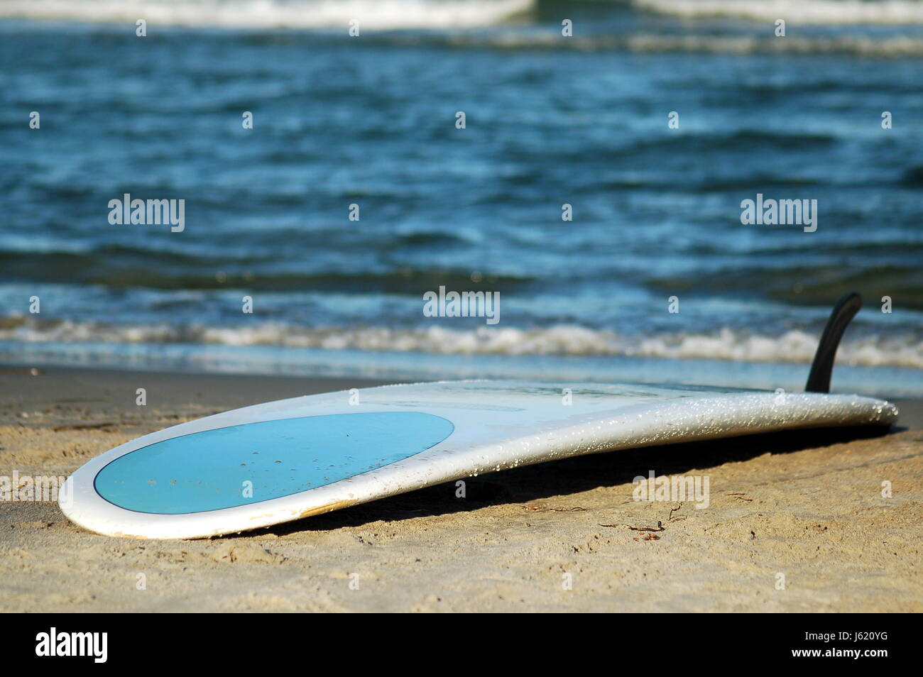 surf ride aquatic sport surf surfboard surfing board sport sports ...