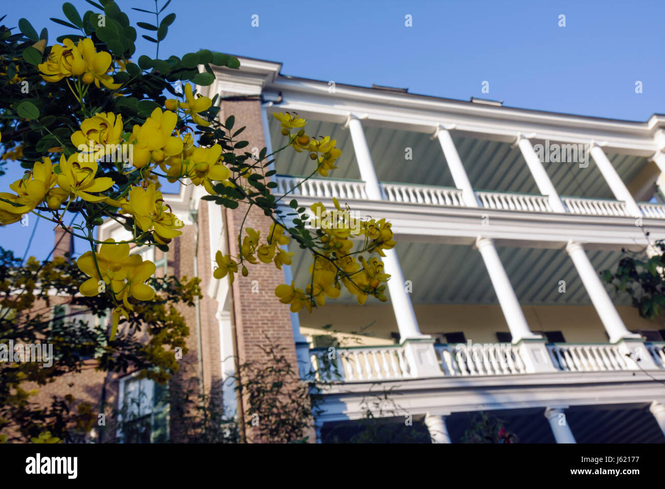 Charleston South Carolina,Historic District,preservation,The Battery ...