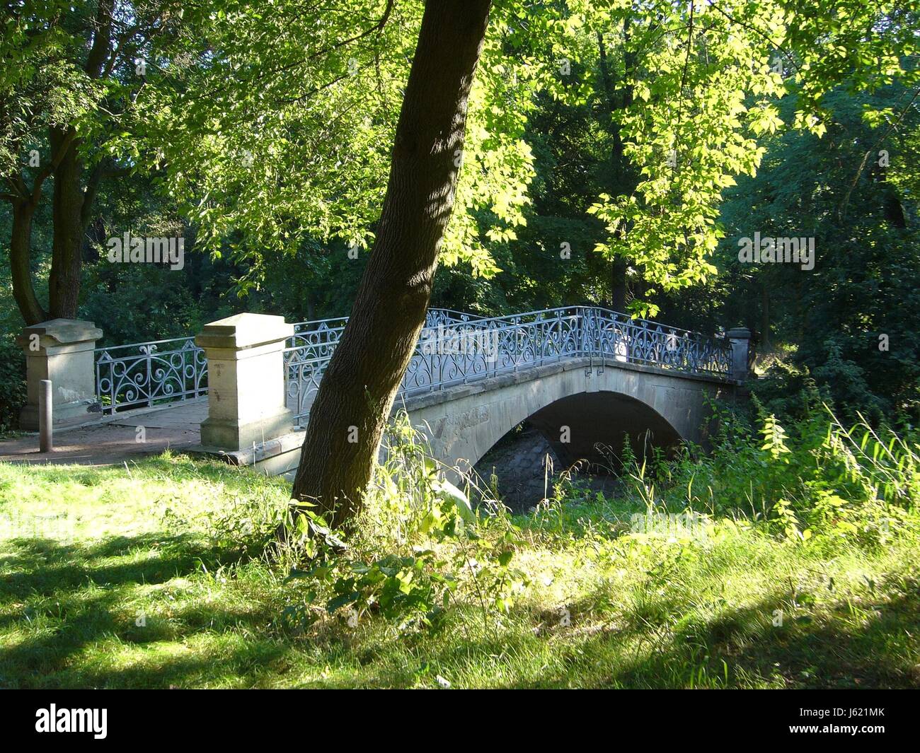 tree trees park bridge parkway recuperation river water nature tree ...
