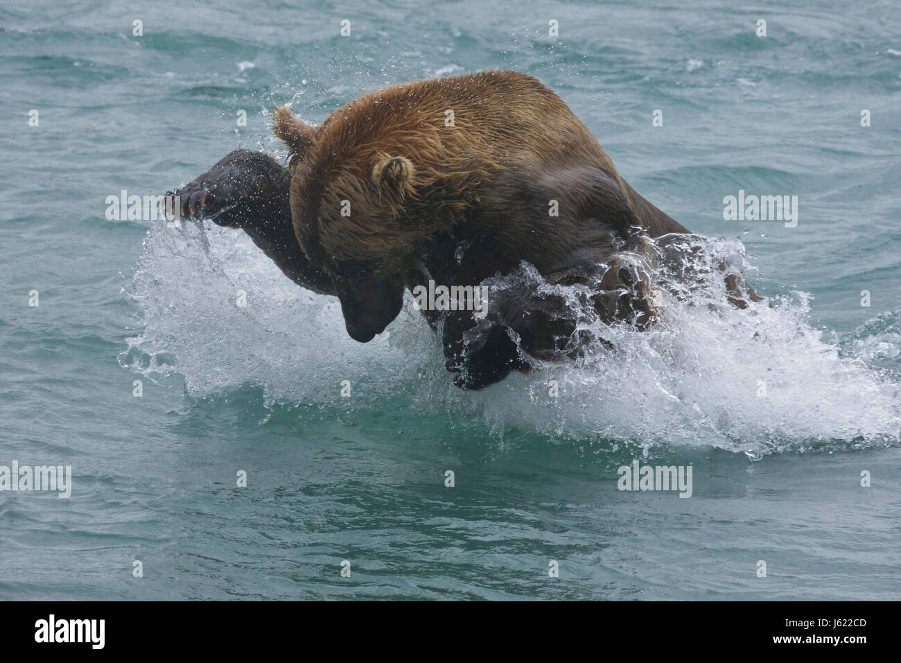 Mcneil river hi-res stock photography and images - Alamy