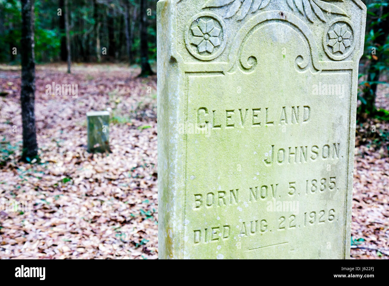 Charleston South Carolina,Lowcountry,Ashley River Road,Drayton Hall ...