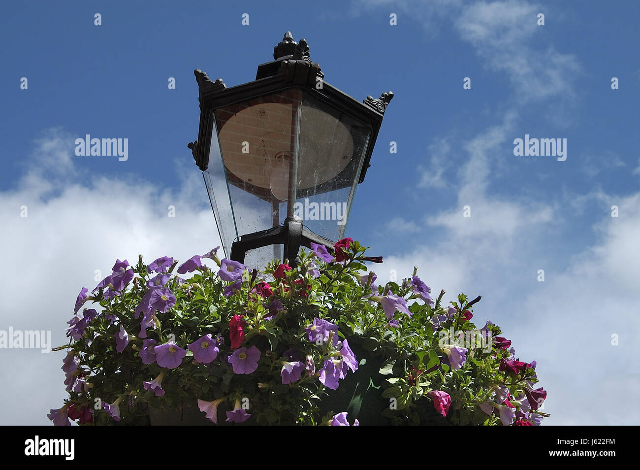 flower arrangements blossoms lantern shiner light lamp luminary bleed ...