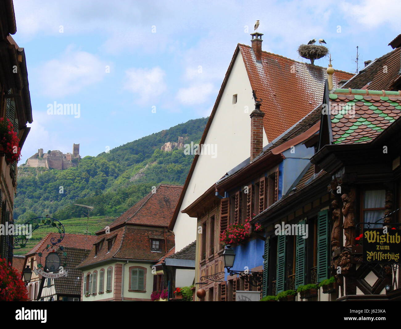 house building city town stork alsace chateau castle house building ...