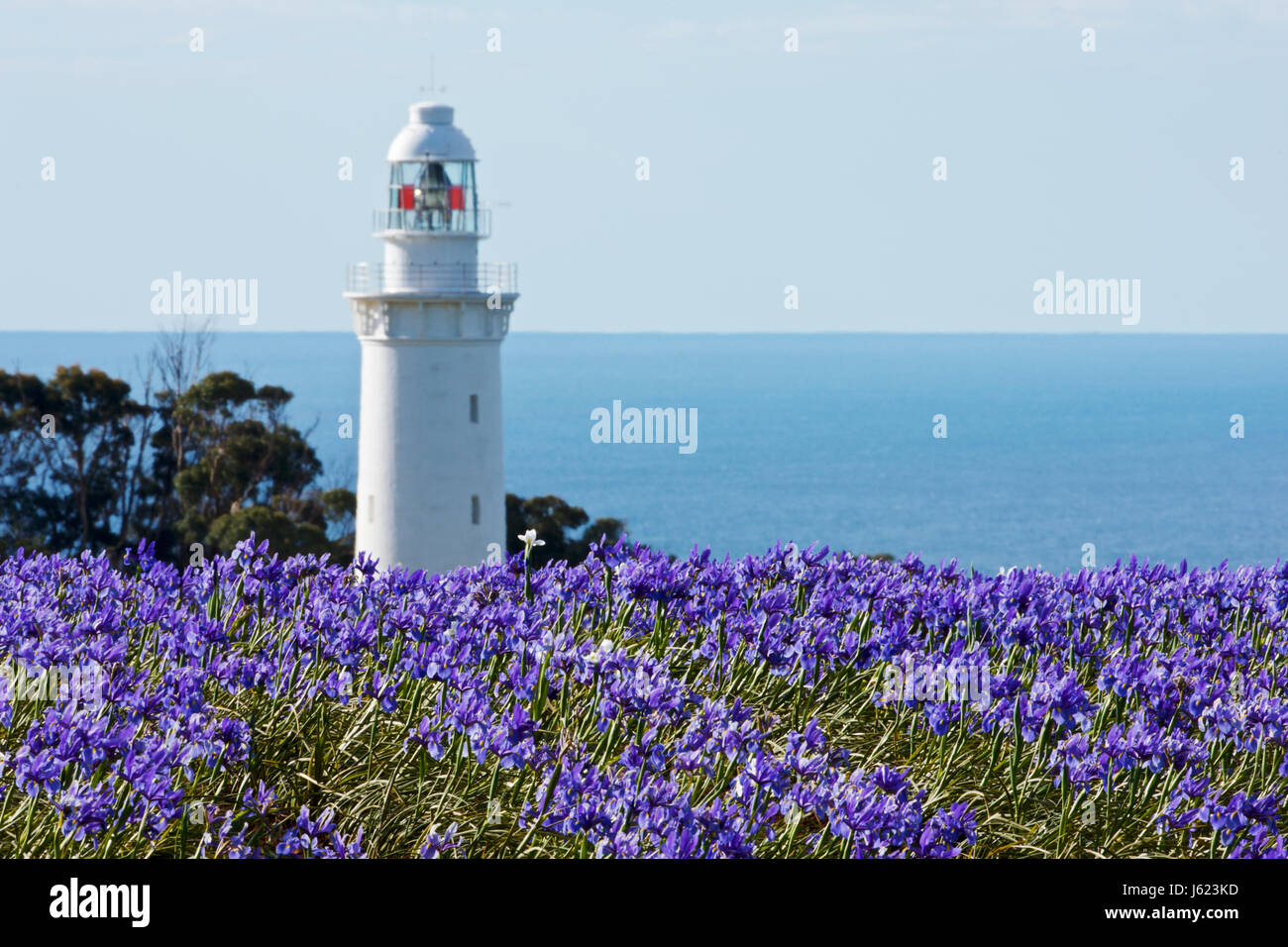 Table cape hi-res stock photography and images - Alamy